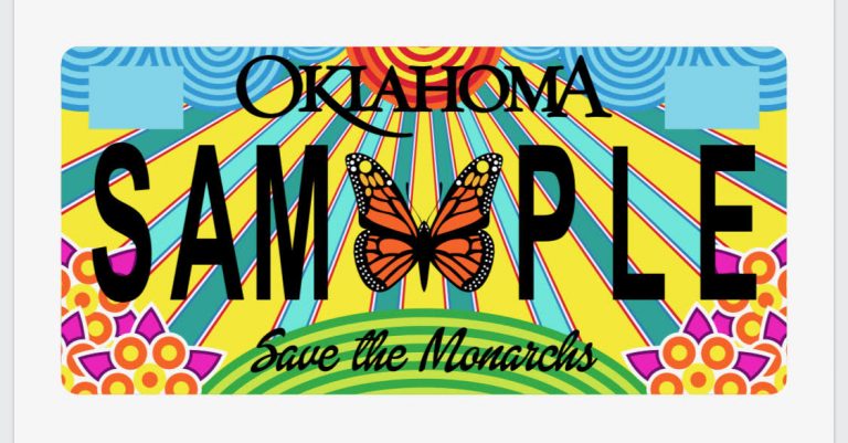 Mustang artist creates design for butterfly license plate contest ...