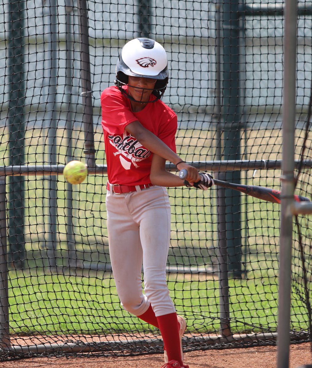 Softball: Del City looking for return trip to state – Central Oklahoma ...